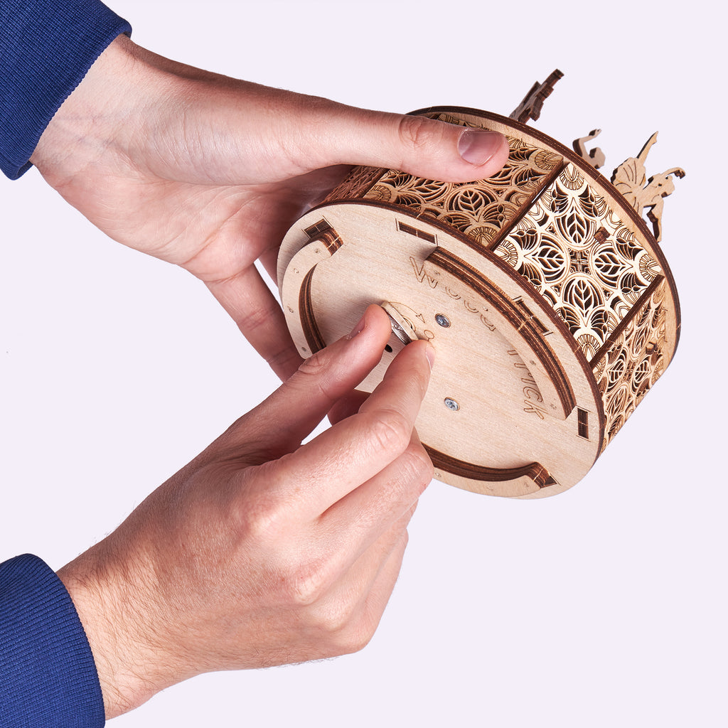 Wood Trick 3D wooden model kit Dancing Ballerinas ( music box) | Fields ...