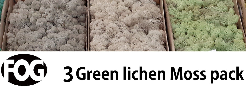 Lichen Diorama pack – 3 colours | Fields of Glory Models