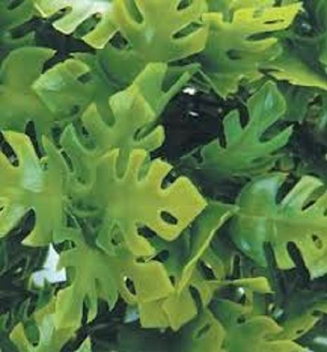 FoG Models Plastic Jungle Plant #3 Pack contains 4 stems | Fields of ...